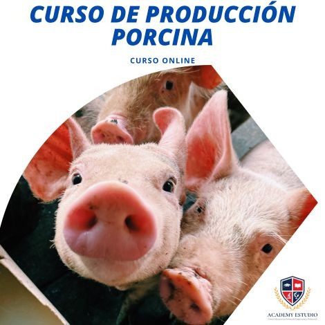 Producción Porcina de Reproducción y Cría | Curso Online Con Titulación